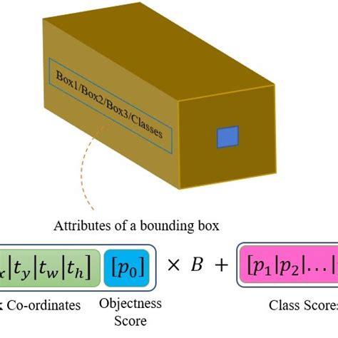 Final Yolo Output Consisting Of Box Co Ordinates Objectness Scores And