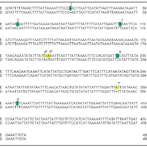 two aligned sequences and variable nucleotide positions in mtdna