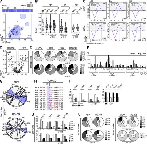 Immunoglobulin Gene Repertoire Of S HBsAg Specific IgG Memory Download Scientific Diagram