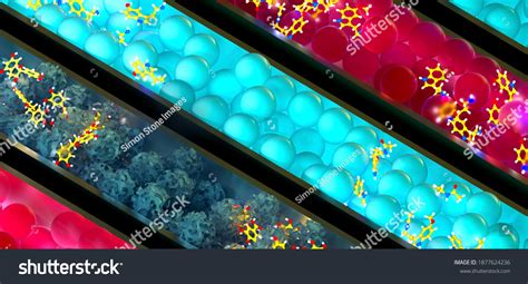 Types Liquid Chromatography Technique Illustration Stock Illustration 1877624236 Shutterstock