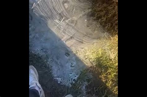 Мимо не пройти