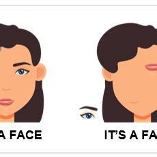 Face Recognition In CNN Download Scientific Diagram