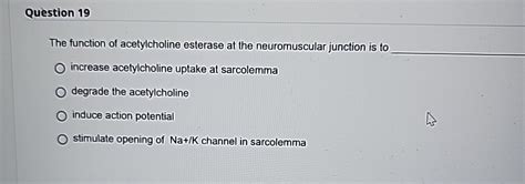 Solved Question 19the Function Of Acetylcholine Esterase At