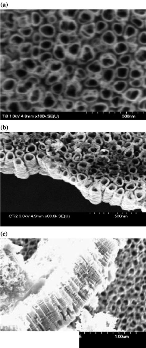 Morphology Of The Tio 2 Nanotubes Formed In Different Ph Conditions