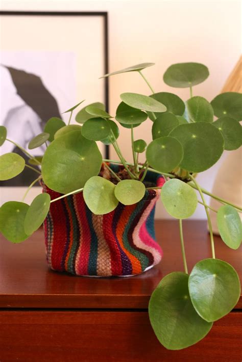 Striped Pot Cover In Red And Green Made From Vintage Berber Fabric
