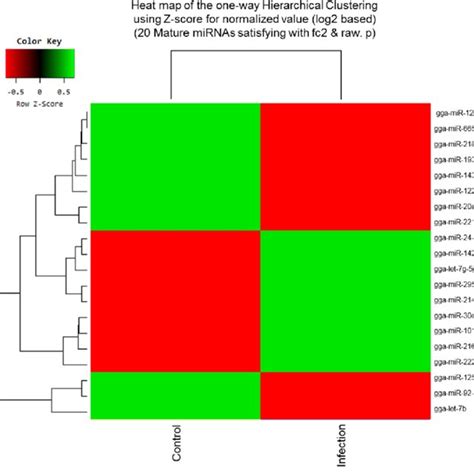 Hierarchical Clustering Analysis Of 20 Mirnas Using R Program This Download Scientific Diagram