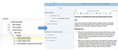 Automatic Defect Recording Qm Im Rr Def Sap Community