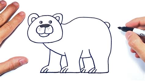 Cómo Dibujar Un Oso Paso A Paso Dibujo De Oso Youtube