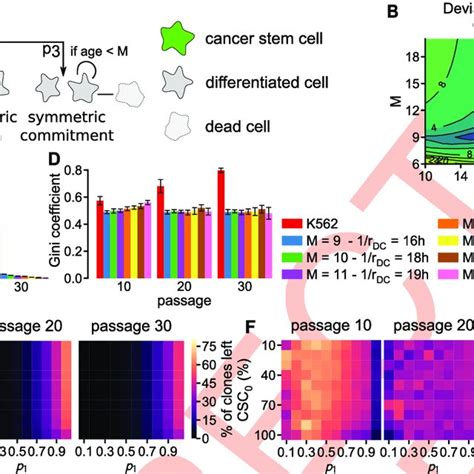 Simulations With CSC Model Result In Massive Clone Loss And No Download Scientific Diagram