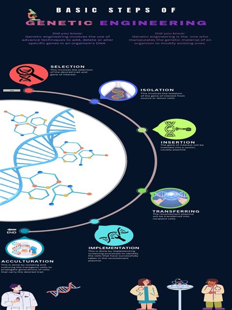 Genetic Engineering 101 Terminologies Pdf