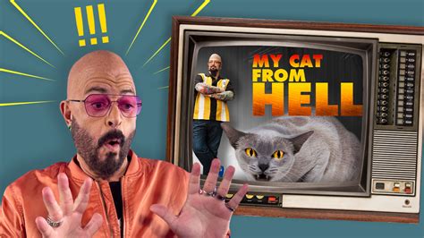 Jackson Reacts My Cat From Hell Commentary Jackson Galaxy