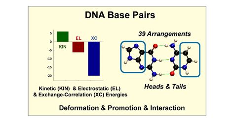 Base Base Pairing