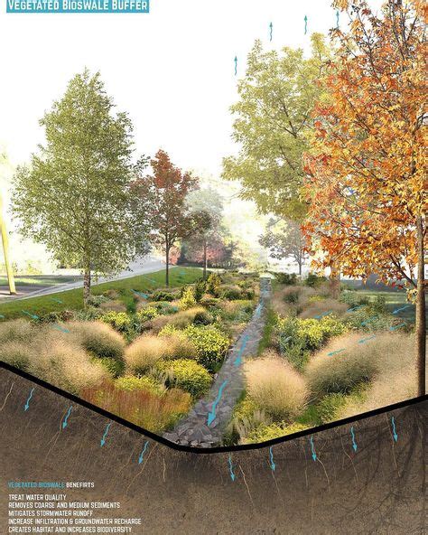 12 Best Swale Images Rain Garden Water Management Landscape Design