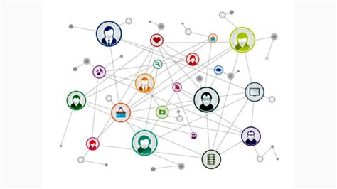 Is graph theory the key to understanding the brain?