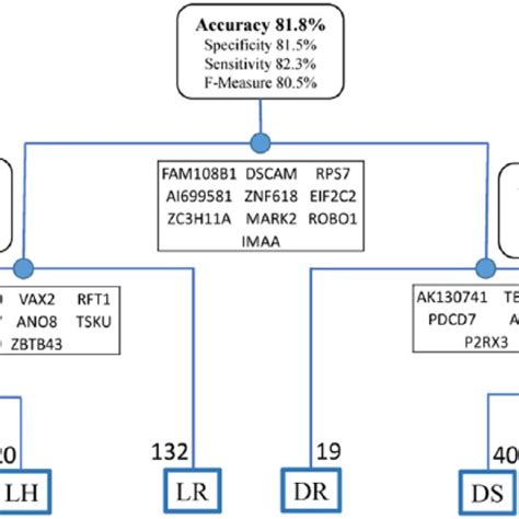 Wards Linkage Model Classification Model With Performance Measures Wards Linkage Model Classification Model With Performance Measures