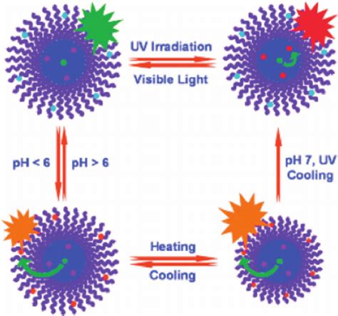 Reversible Three State Switching Of Fret Based Thermoresponsive Download Scientific Diagram