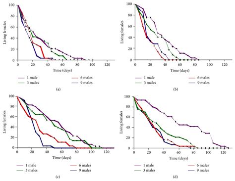 Evolutionary Consequences Of Male Driven Sexual Selection And Sex