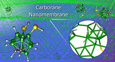 Carborane Nanomembranes Acs Nano