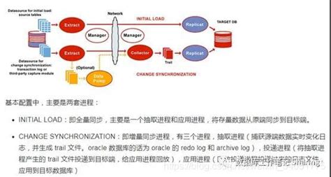 专栏 怎样将数据从oracle迁移到tidb tidb 社区