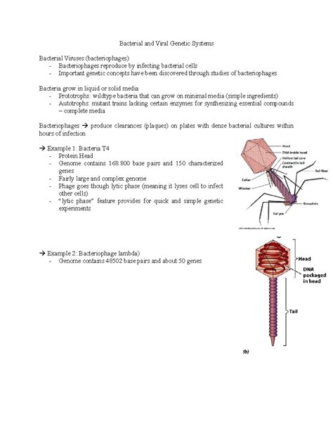 Bacterial And Viral Genetic Systems Bacterial And Viral Genetic