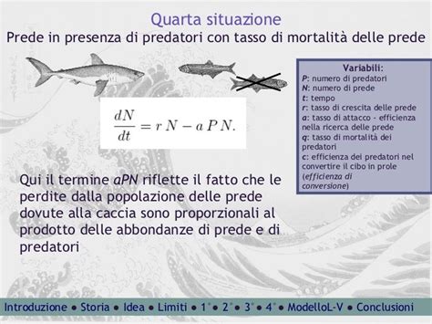 Modello Preda Predatore Di Lotka Volterra
