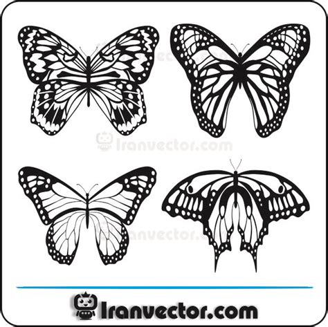 وکتور پروانه 165 ایران وکتور
