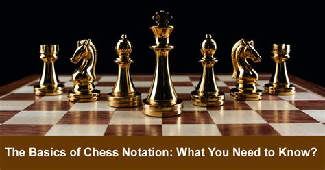 The Basics Of Chess Notation Everything You Need To Know