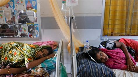 Who Bangladesh Hit By Worst Dengue Outbreak On Record Rdisease