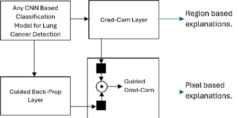 Figure 1 From Explainable Ai For Early Lung Cancer Detection A Path To Confidence Semantic