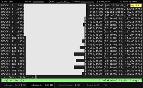 Linux Tqdm Stops Showing Progress In Terminal More Hidden
