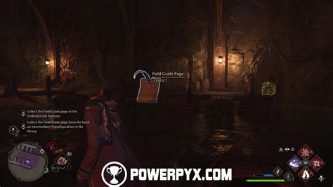 Hogwarts Legacy Professor Weasleys Assignment Walkthrough