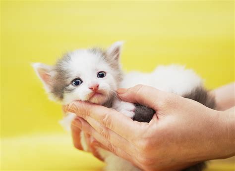 Допомога Дворянам Added A New Photo Допомога Дворянам