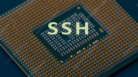 Secure Shell Stock Image F045 0143 Science Photo Library