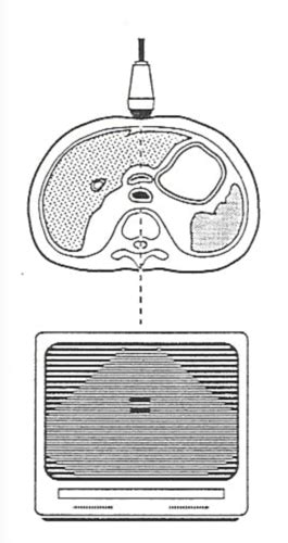 PHYSICS Unit 2 Quizzes WS Questions Flashcards Quizlet PHYSICS Unit 2 Quizzes WS Questions Flashcards Quizlet