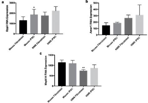 Rna Expression Levels Of Various Nrf2 Activators Obtained From