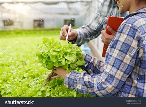 26 725 Farm Inspection Images Stock Photos Vectors Shutterstock