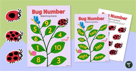 Numbers 1 10 Bug Matching Game Teach Starter