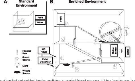 Figure 1 From Environmental Enrichment Input In The Rat Posterior Auditory Field Induced By