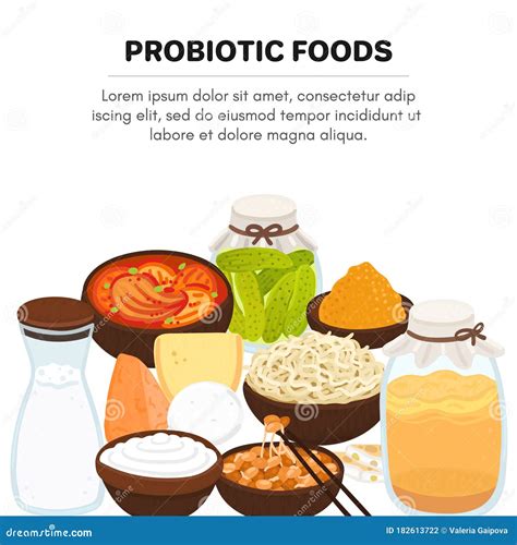 Vector Probiotic Foods. Best Sources of Probiotics. Beneficial Bacteria ...
