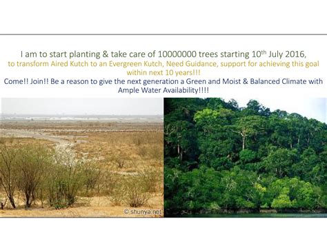 Trees PPT