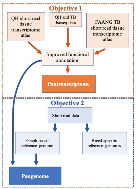 A Pipeline For Functionally Annotating Pangenomes Minnesota