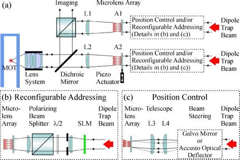 Schematic View Of The Experimental Setup A The Microlens Arrays A1 Download Scientific
