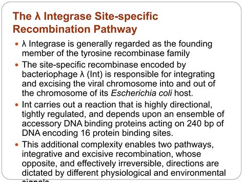 Lecture 6 Site Specific Recombination Final Pptx