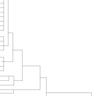 Dendrogram Of Cluster Analysis Using Average Linkage Between Groups