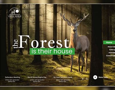 Webslider Marketing Projects Photos Videos Logos Illustrations