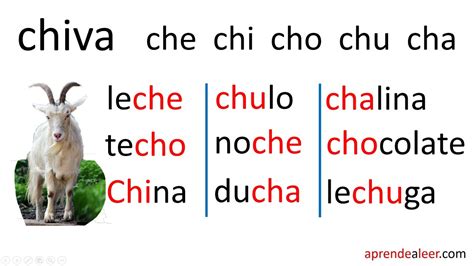 Palabras Con Cha Che Chi Cho Chu Una Guía Para Niños compasivo
