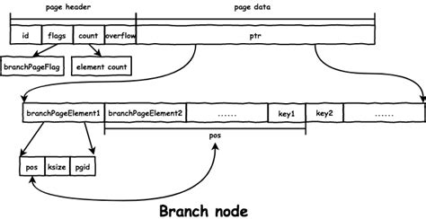 boltdb 源码分析 我叫尤加利