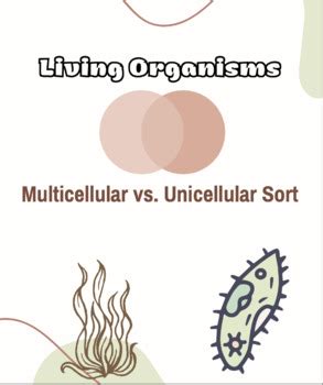 Multicellular Vs Unicellular