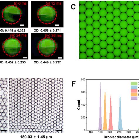 Characterization Of The Droplet Based Microfluidic Chip Fluorescence Download Scientific