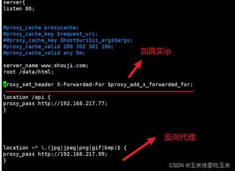 nginx 反向代理 与缓存功能 反向代理缓存 csdn博客